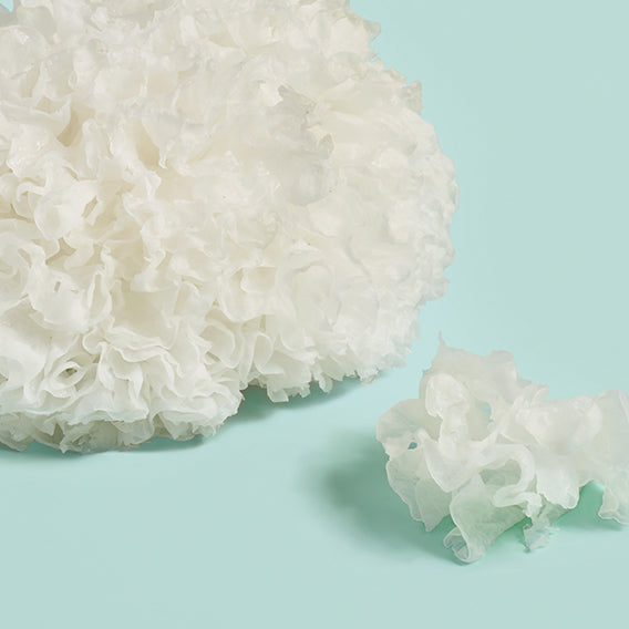 Skin Care Starter Kit - Kind Science Skincare